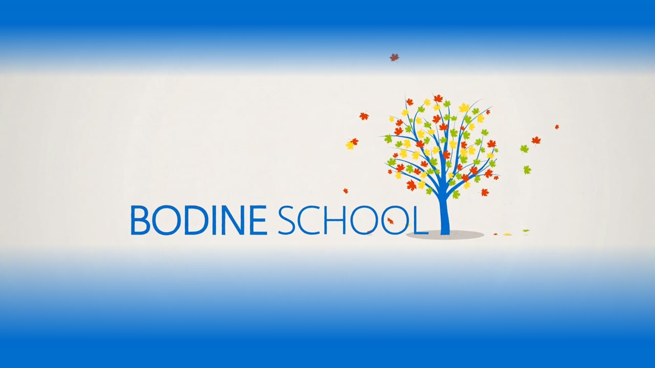 bodinebkg - Collateral Learning